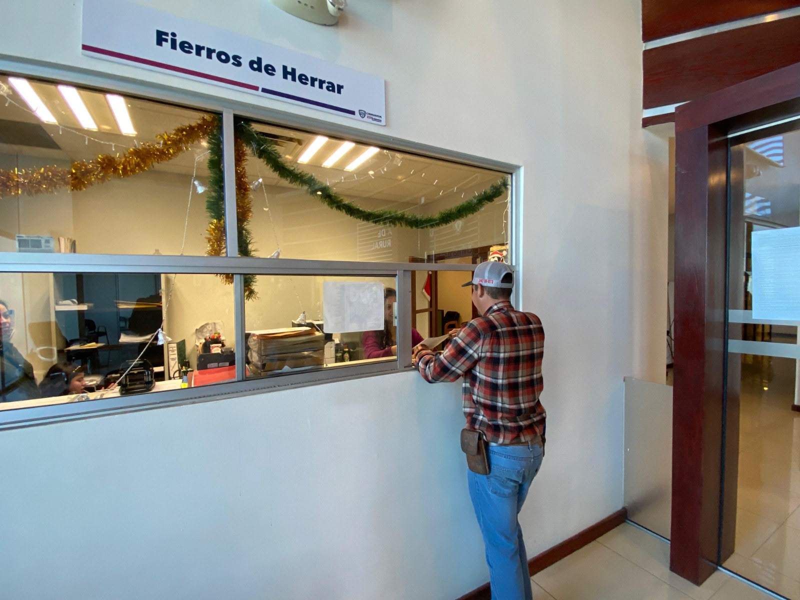 Vencerá el 30 de junio plazo para renovar micas de fierro de herrar ...